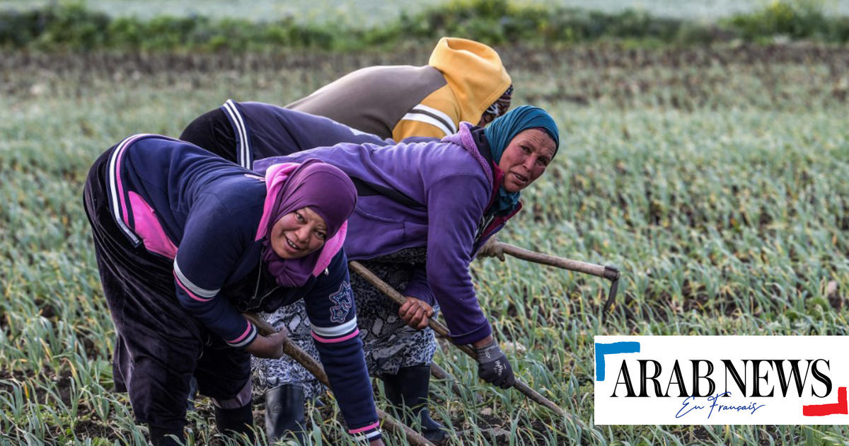 Femme rurale: La cheville ouvrière de la société | Arab News FR