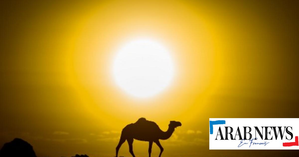 Émission d’un timbre célébrant la Marche verte | Arab News FR