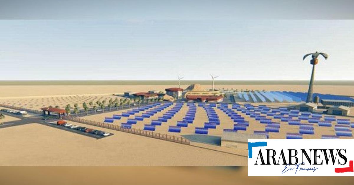 Algérie : Le Cerefe plaide pour un déploiement progressif des énergies ...