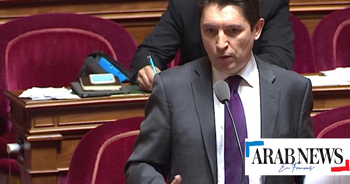 Cadic: «La Vision 2030 offre l'occasion à la France d’élargir sa ...