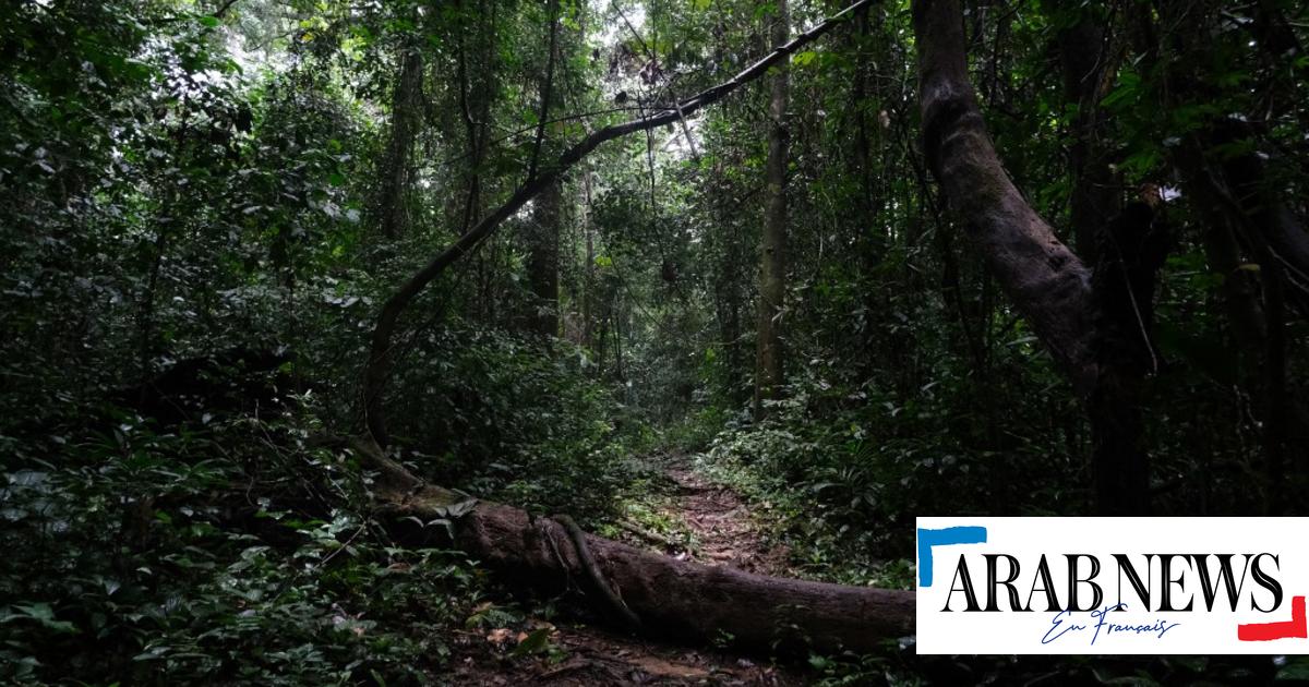 L'Unesco annonce 21 nouvelles réserves de biosphère dans 21 pays | Arab ...