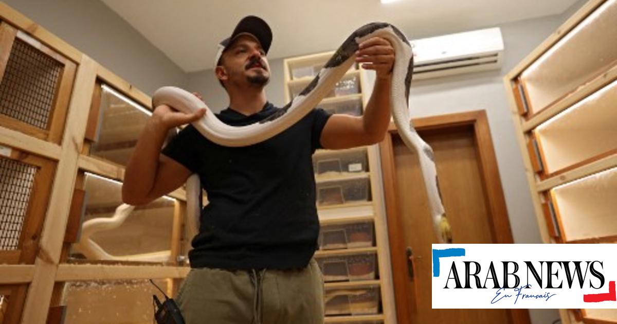 A Jeddah, les « créatures mystérieuses » d'un Saoudien amateur de ...