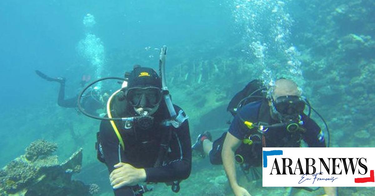 Les touristes donnent une nouvelle dimension à la plongée sous-marine à ...