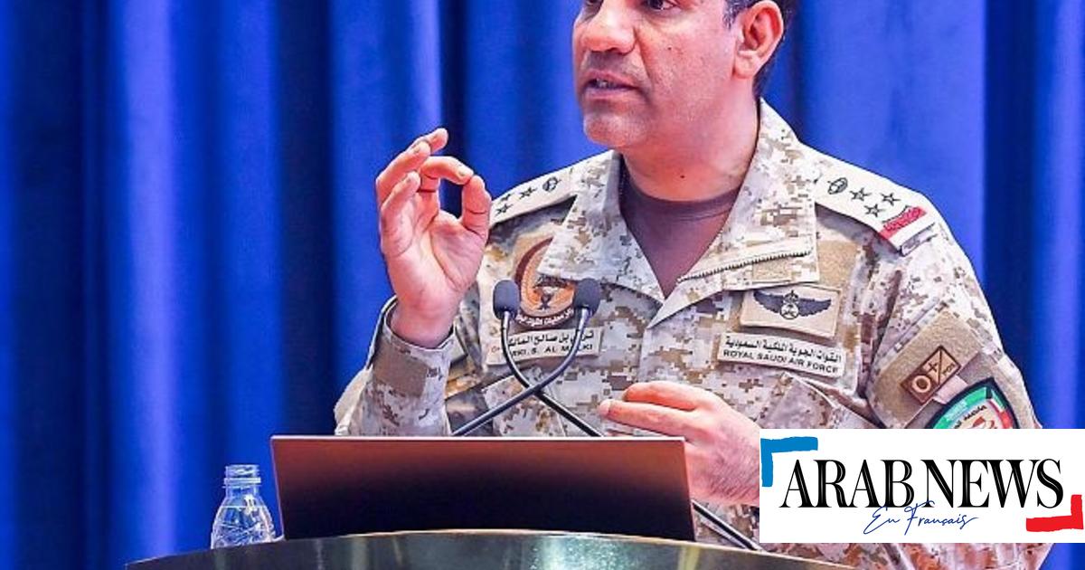 La coalition arabe au Yémen salue la décision de l'ONU d'inspecter ...