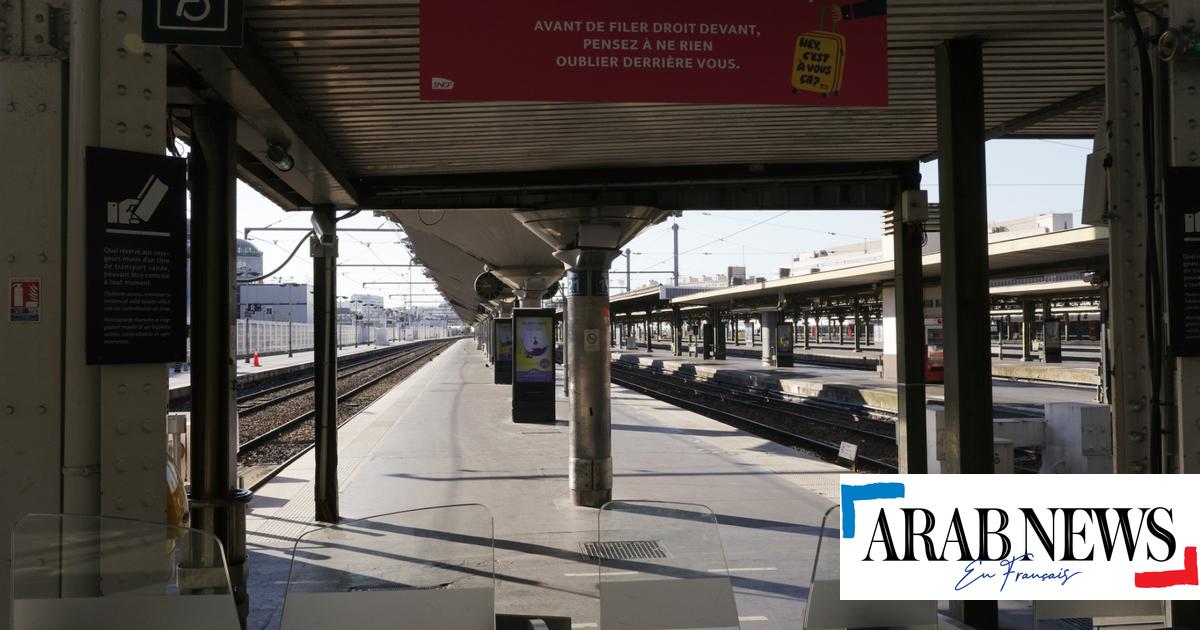 Nord: une adolescente meurt percutée par un TGV dans une gare | Arab News FR