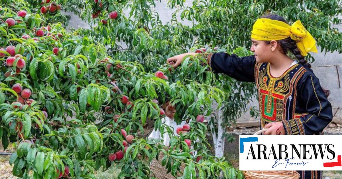 Le ministère saoudien de l'Environnement, de l'Eau et de l'Agriculture ...
