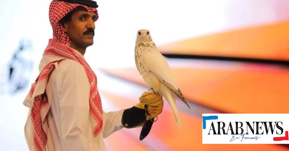 Une exposition internationale célèbre la fauconnerie saoudienne et le ...