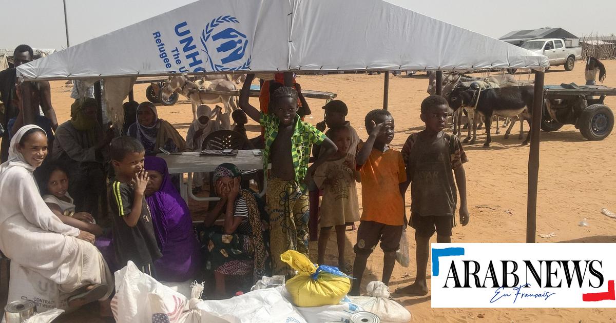 «Pris entre deux feux» au Mali, les réfugiés affluent en Mauritanie ...