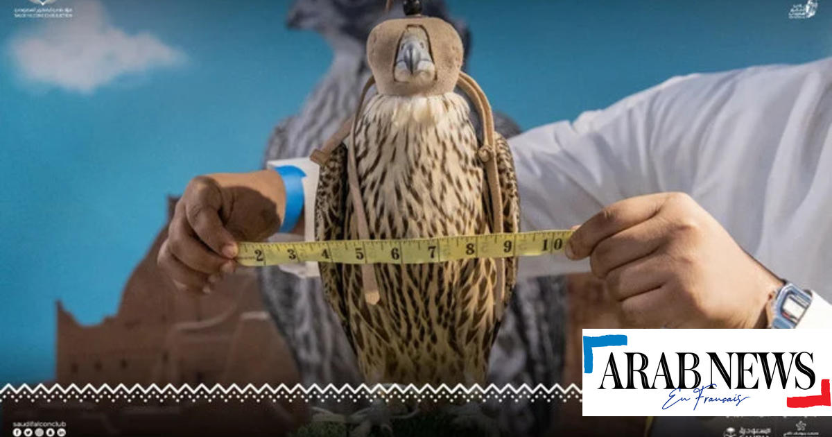 Un faucon saoudien dépasse le million de SAR aux enchères dans un ...