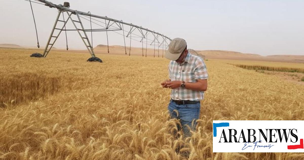 Essor de l’agriculture en Algérie | Arab News FR