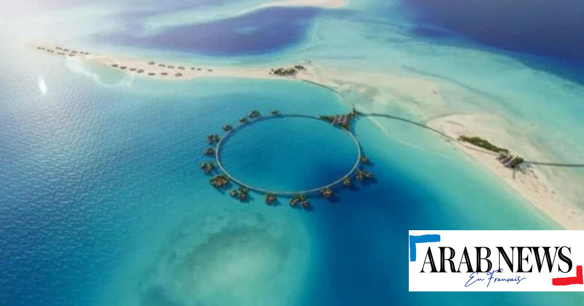 La TRSDC change de nom pour devenir Red Sea Global et vise une ...