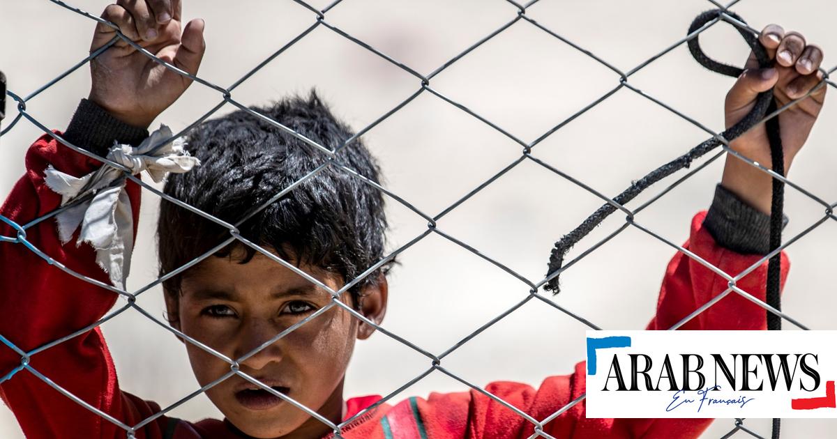 Les enfants du camp d'Al-Hol, «une génération perdue» selon MSF | Arab ...
