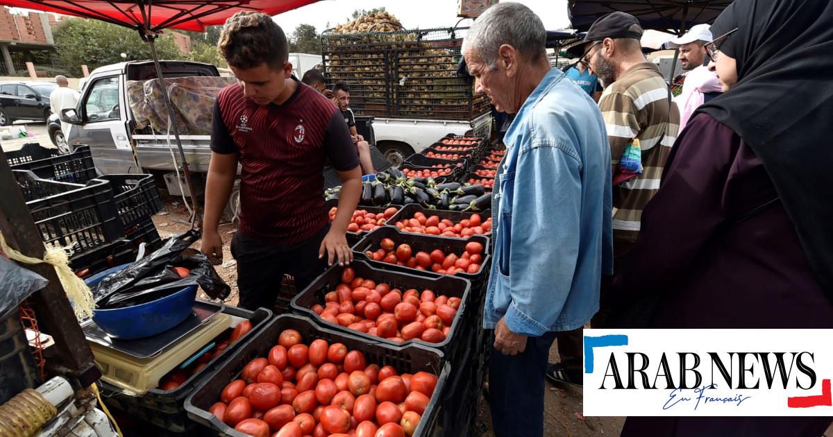 Vivre l’avenir | Arab News FR