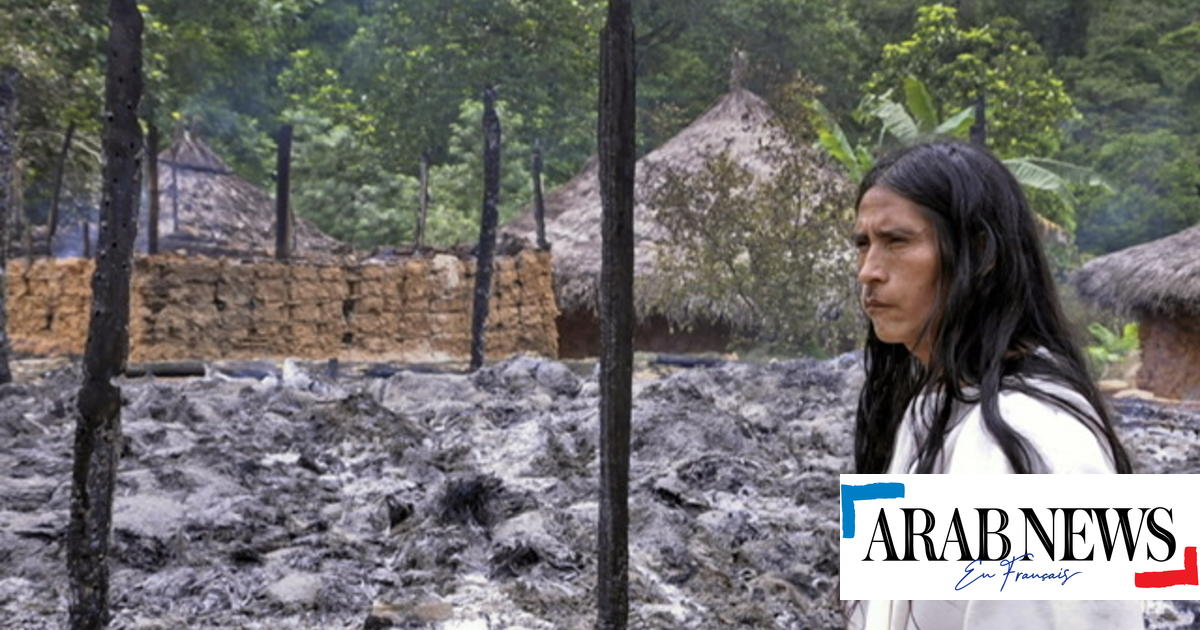 En Colombie, les indigènes de la «montagne sacrée» érigés au rang de ...
