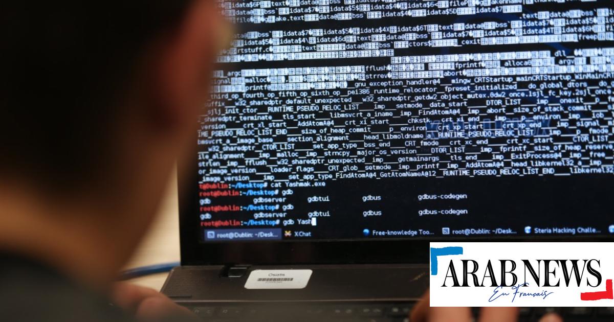 Démantèlement d'un réseau de fraude informatique ayant fait 4 000 ...