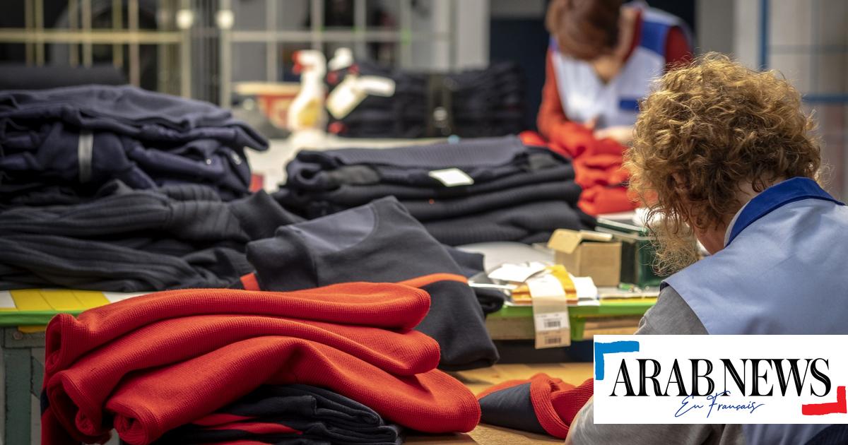 Mitaines et capes chauffantes: des chercheurs belges explorent la vie à ...