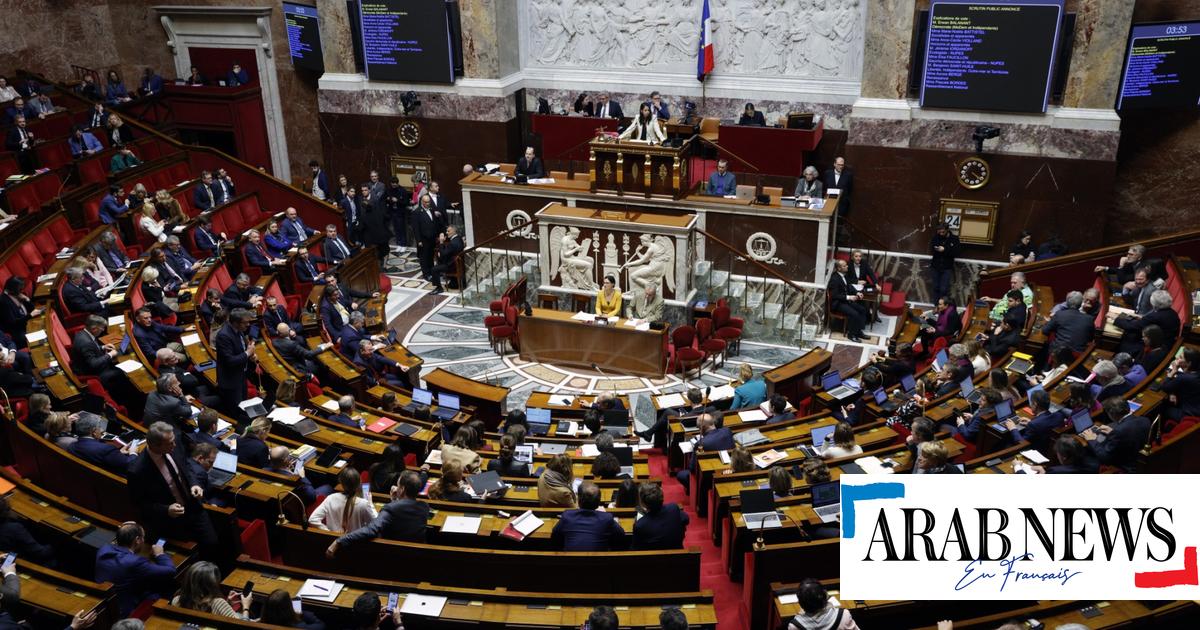 Loi Immigration Des Associations Sinquiètent Dune «détérioration