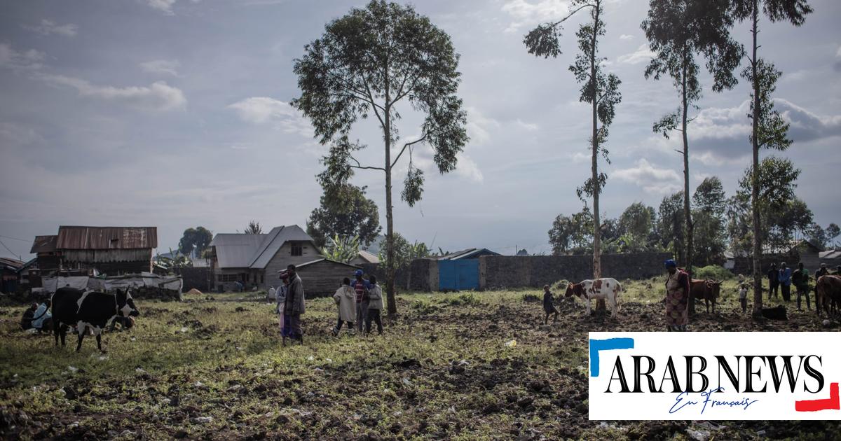 Massacre en RDC: au moins 131 civils tués par les rebelles du M23, selon l'ONU | Arab News FR