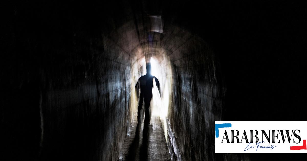 Lyon: une visite virtuelle pour dissiper le mystère des « Arêtes de ...