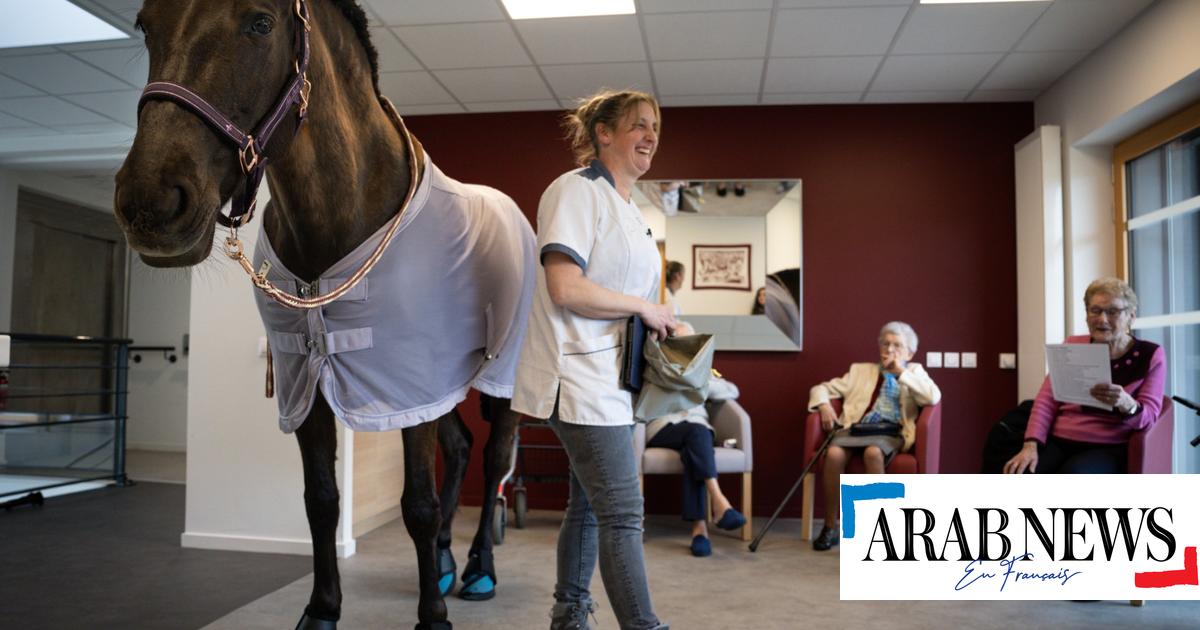 Dounka, la jument qui murmure à l'oreille des seniors | Arab News FR