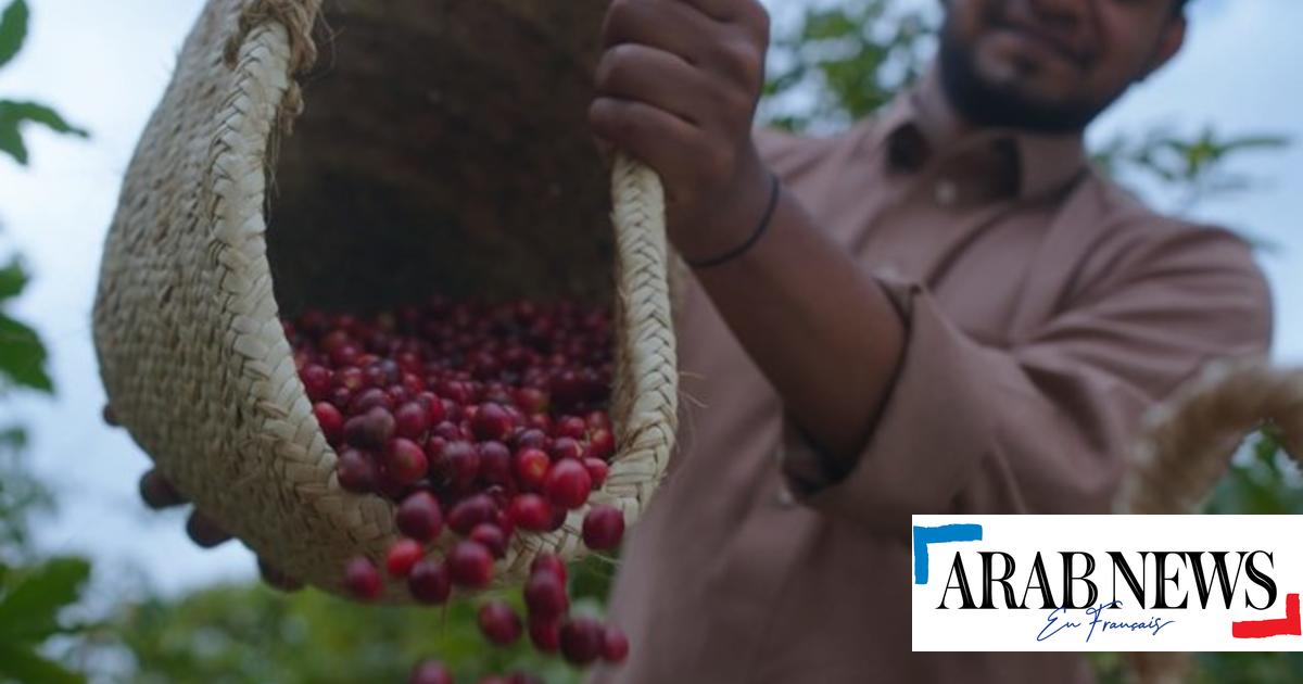 La Saudi Coffee Company s'apprête à présenter au monde entier le café ...