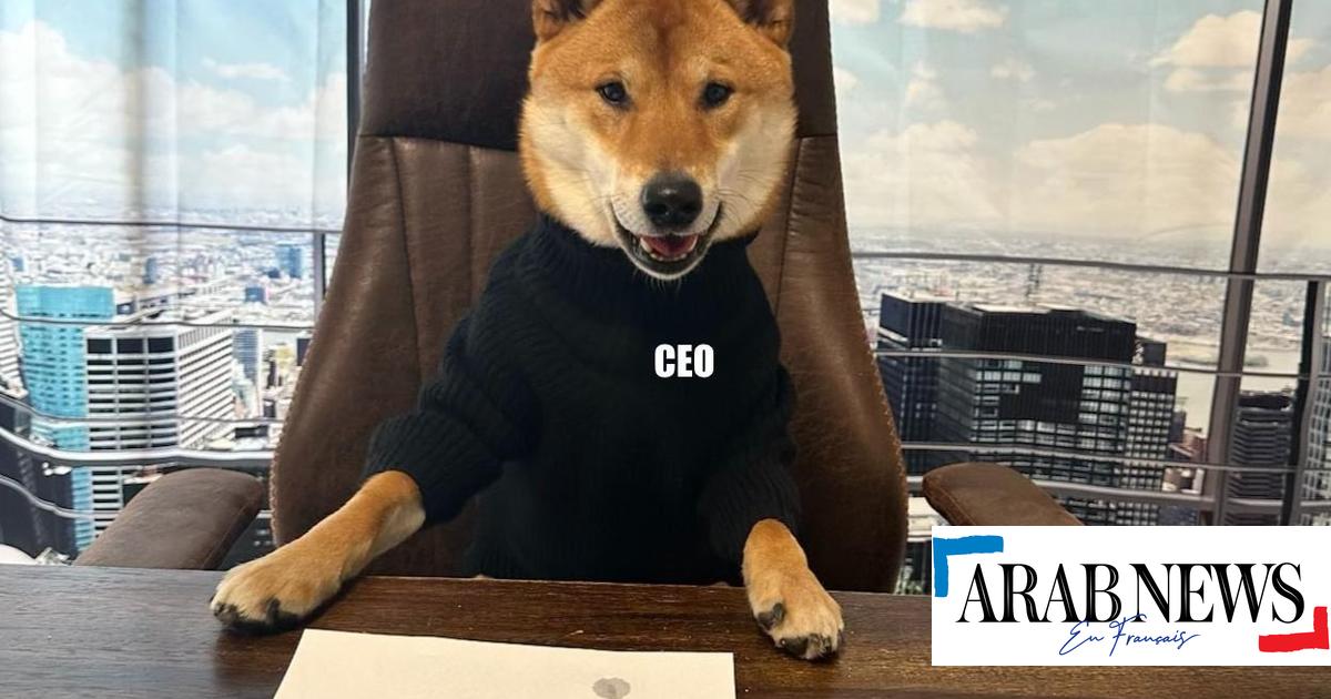 Du Blue Bird au mème Doge: l'icône de Twitter fait bondir de 30% la ...