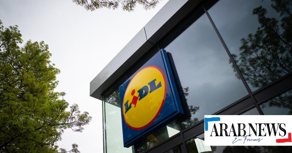 Le discounter Lidl lance son site e-commerce en France, dédié au non ...