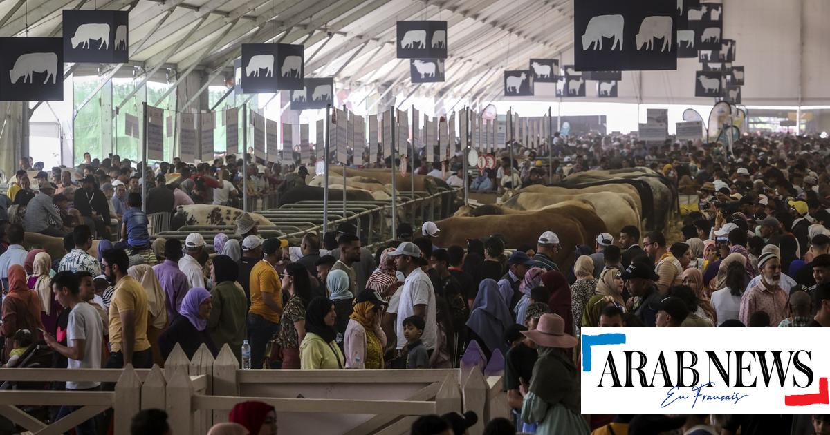 Agriculture du Maroc: la 15e édition du Siam bat tous les records ...