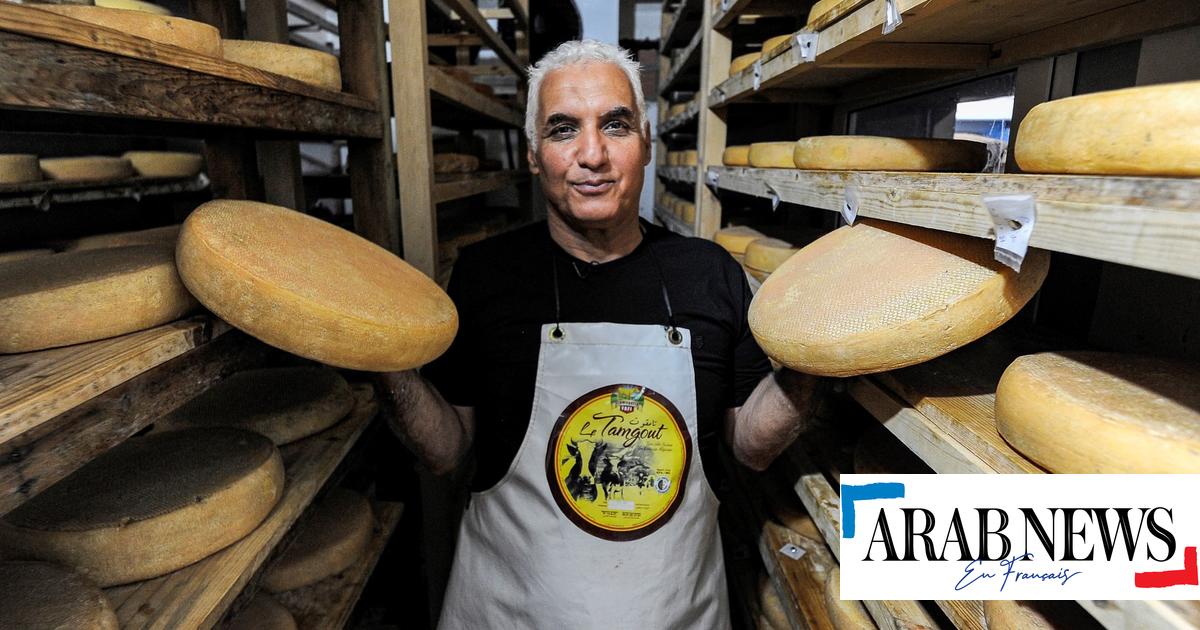 Algérie: du fromage à la mode suisse dans les pâturages de Kabylie ...