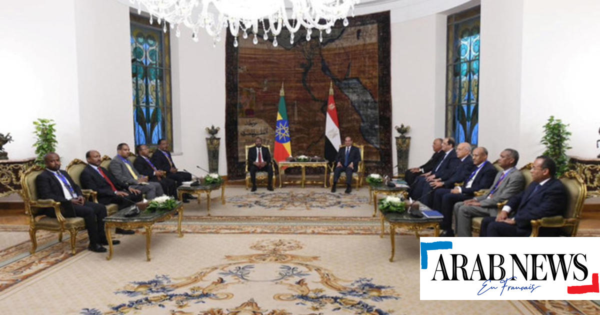 L'Egypte accueille une réunion régionale visant à résoudre la crise au ...