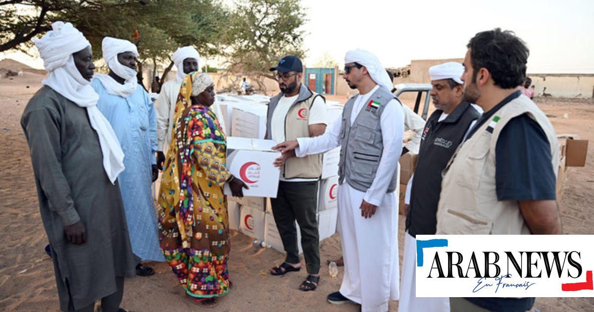 Une délégation humanitaire émiratie distribue des colis alimentaires ...
