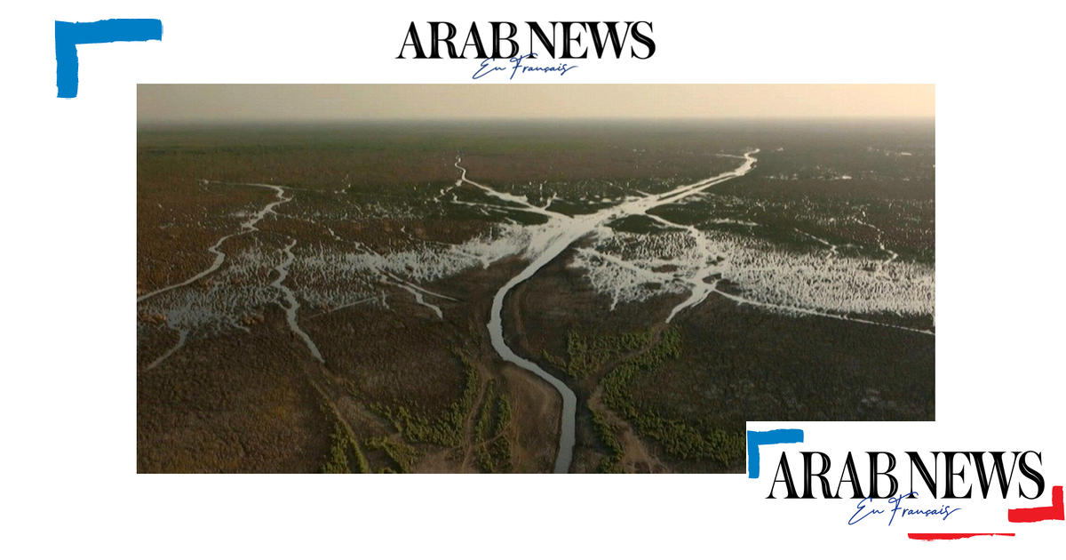 En Irak, les marais du sud s'assèchent et une civilisation agonise ...