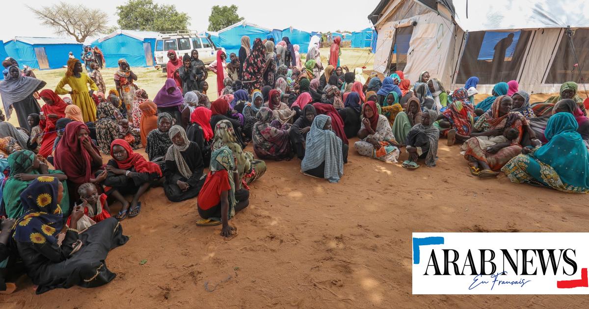 Au Tchad, les réfugiés du Darfour racontent leur périlleuse fuite ...