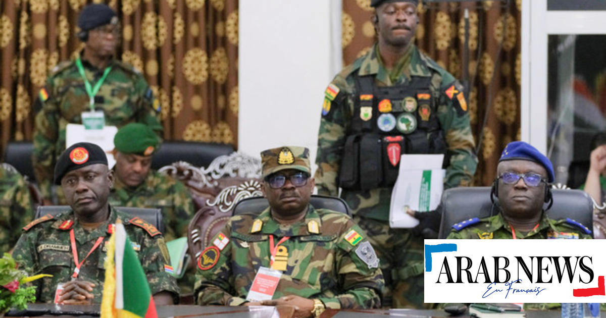 Niger: la délégation ouest-africaine a rencontré le président renversé ...