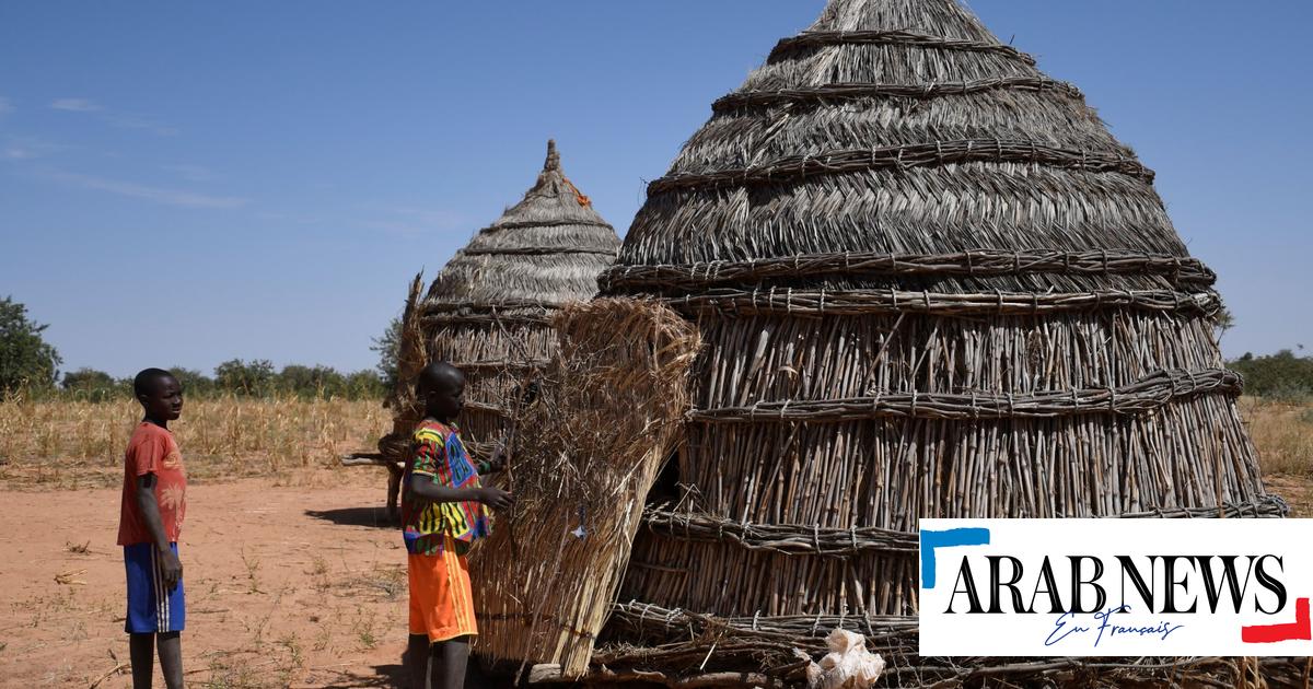 Niger: plus de 2 millions d'enfants ont besoin d'une aide humanitaire ...