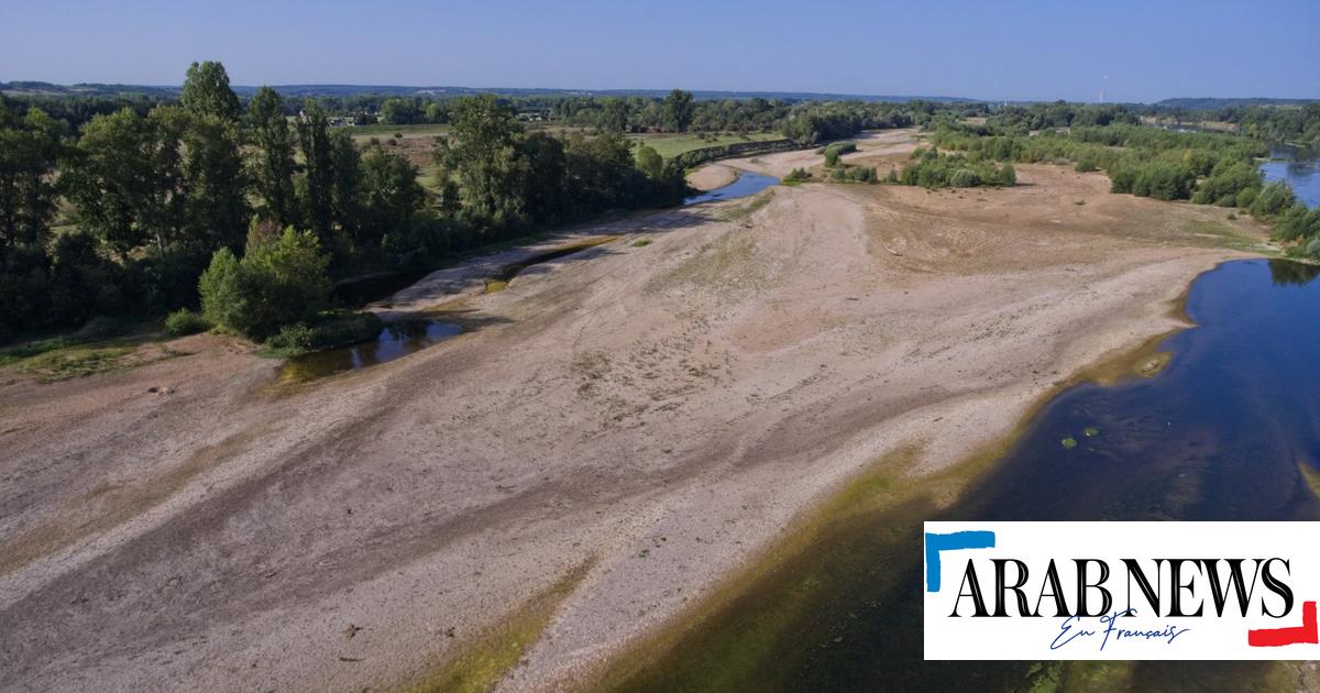 Les milliards de tonnes de sable arrachées à la mer menacent l ...