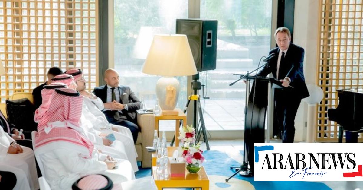 La compagnie d’aviation française UUDS lance ses activités en Arabie ...