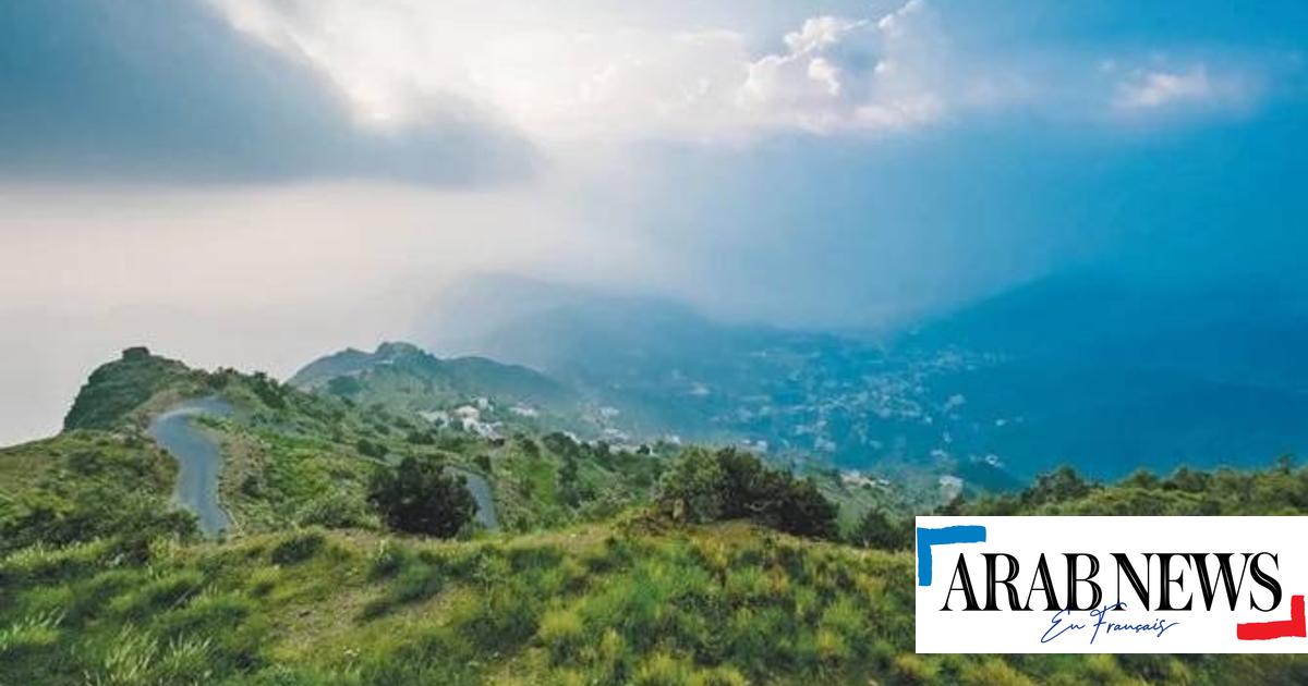 L'Arabie saoudite crée une société pour développer le projet de la ...