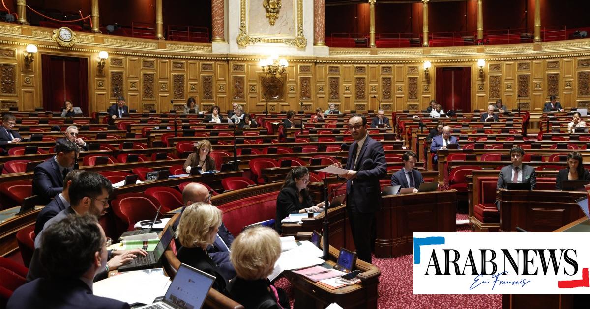 Loi immigration: Des LR tendent la main au gouvernement, le bout du ...