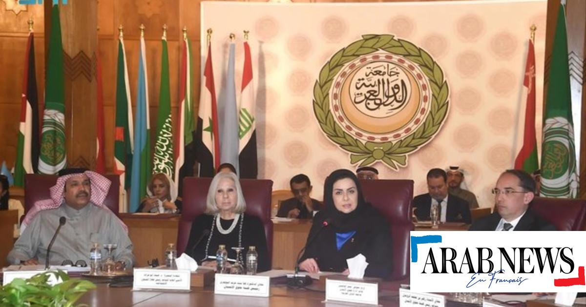 Le comité de la Charte arabe des droits de l’homme examine le rapport ...