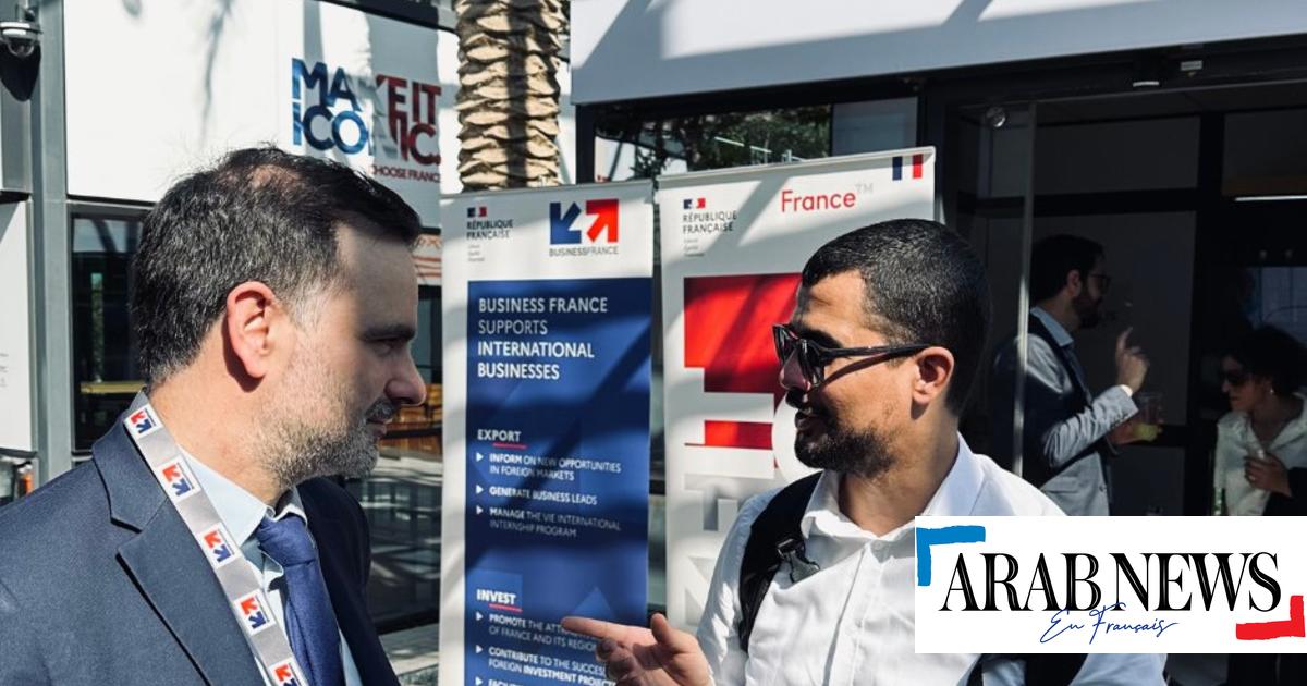 PDG de Business France: «France 2030 est un projet global qui va au ...