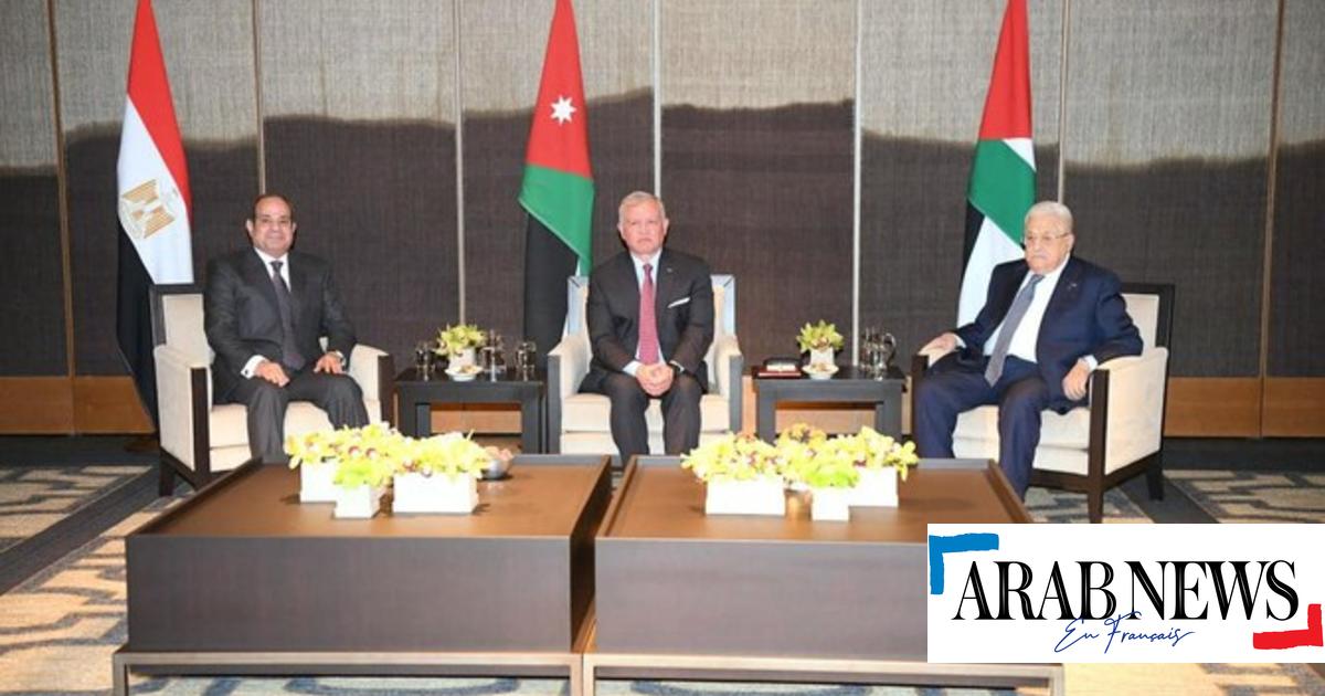 Sissi, Abdallah II et Abbas veulent plus de «pression» pour mettre fin ...