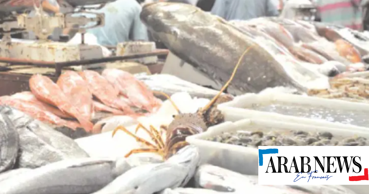 Aquaculture en Tunisie: Le poisson dans tous ses états | Arab News FR