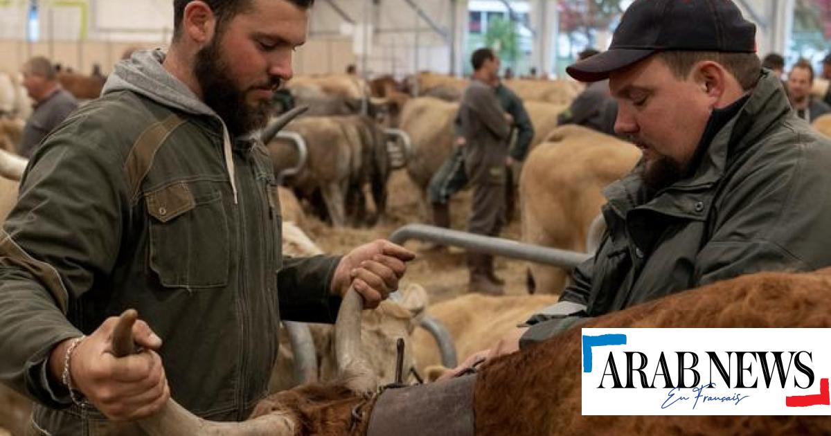 Réduire de 50% la consommation de viande permettrait d'atteindre les objectifs climatiques ...