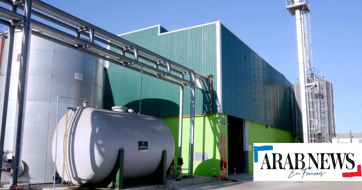 Entre le Maroc et le groupe Bel, une véritable idylle industrielle ...