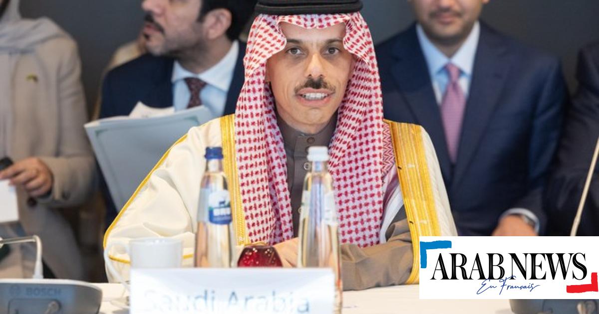 Saudi-Arabia-Norge: møte for en koordinert tilnærming til anerkjennelse ...