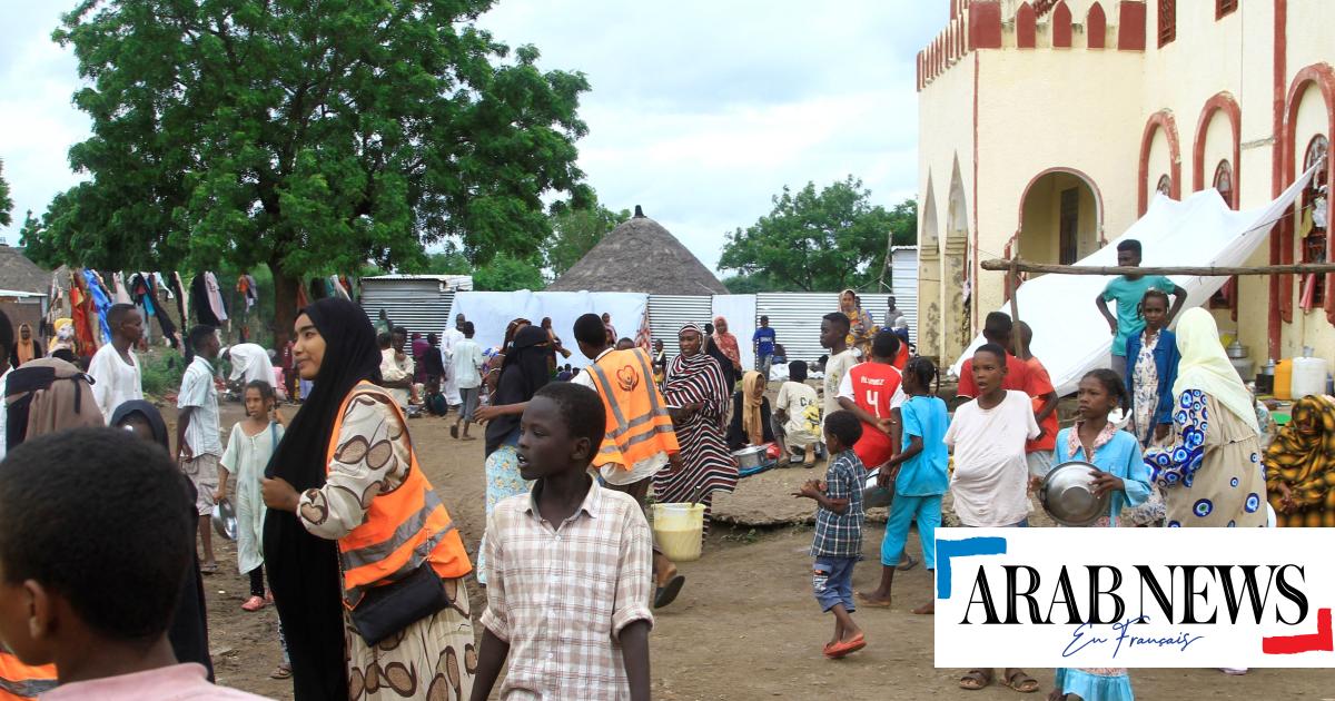 Soudan : un premier convoi humanitaire entre au Darfour, via le Tchad ...