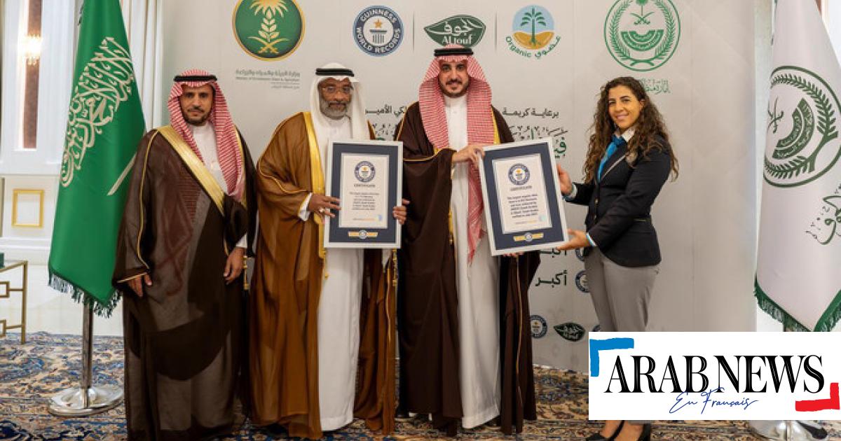 Jouf bat le record Guinness des fermes oléicoles modernes et ...