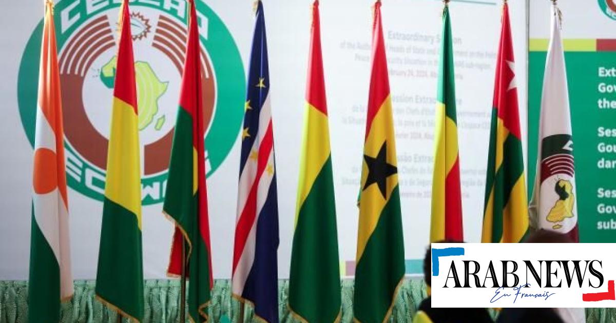 Sommet des chefs d'État de la CEDEAO à Abuja : les questions ...