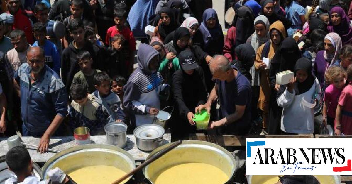 Gaza: le plan israélien de distribution d'aide «contraire aux principes ...